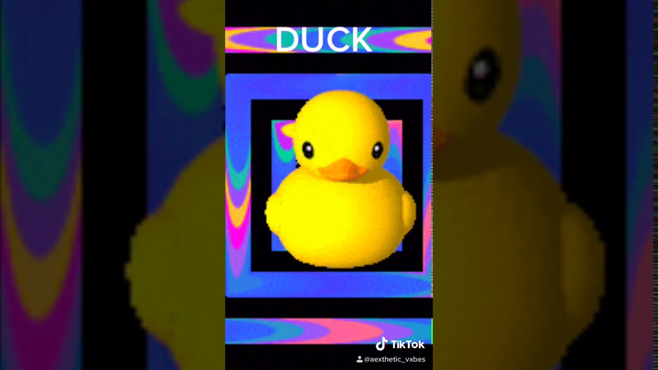 Duck - YouTube