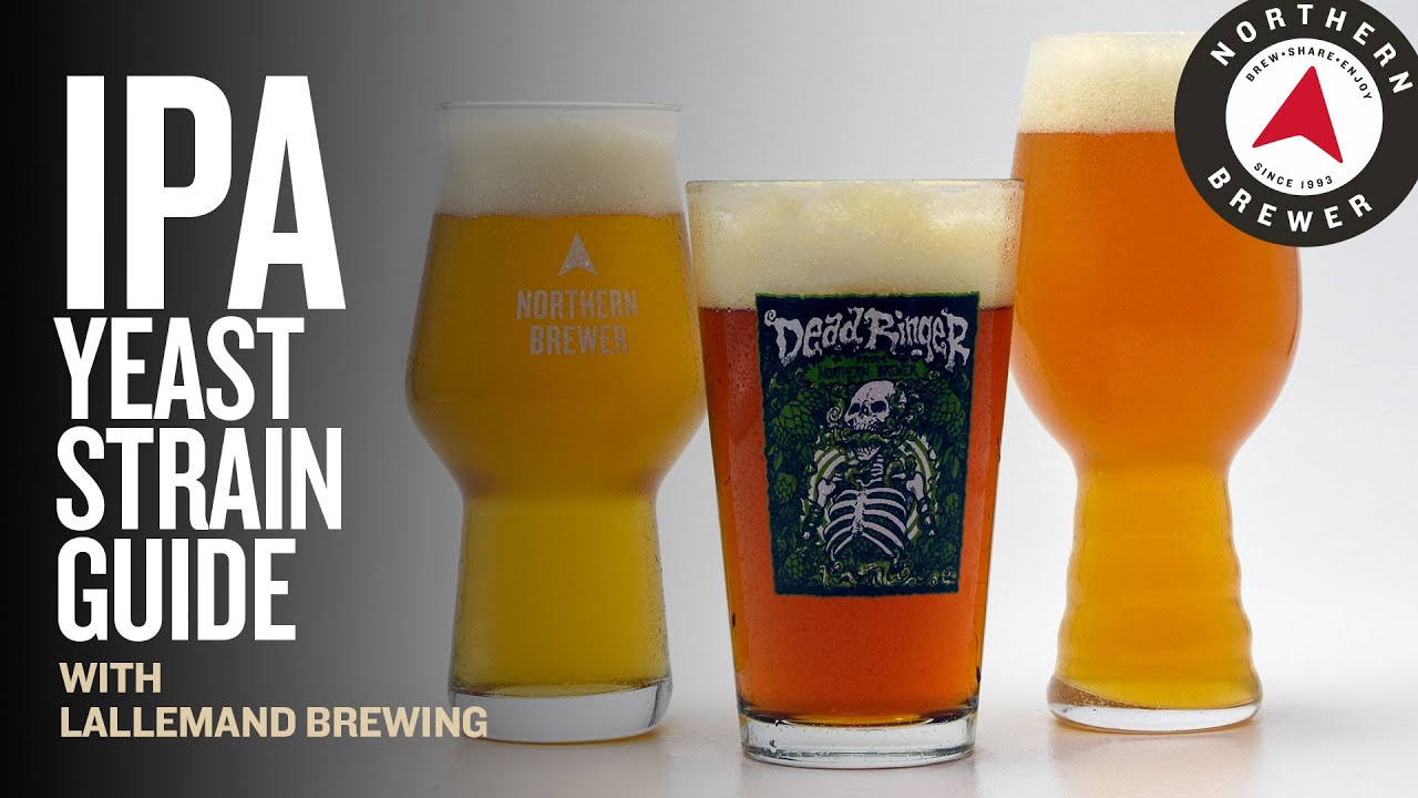 IPA Style Yeast Strain Guide Lallemand Brewing YouTube ipa-style-yeast-strain-guide-lallemand-brewing-youtube