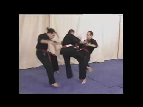 20-IMP-WJJF/JUKO RYU JUJUTSU - Brown Belt Syllabus / 1st Kyu (Improved) - YouTube