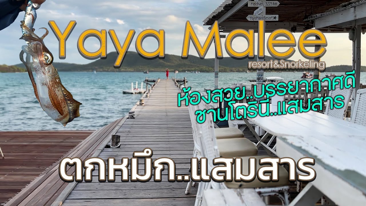 "ยาย่ามาลี แสมสาร" | ออกเรือตกหมึกราคาถูก @finadii - YouTube