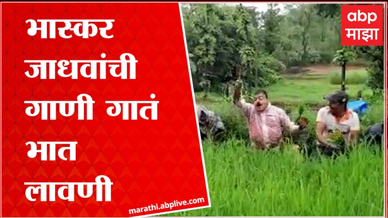 Bhaskar Jadhav Farming : भास्कर जाधव यांची गाणं गात भात लावणी - YouTube