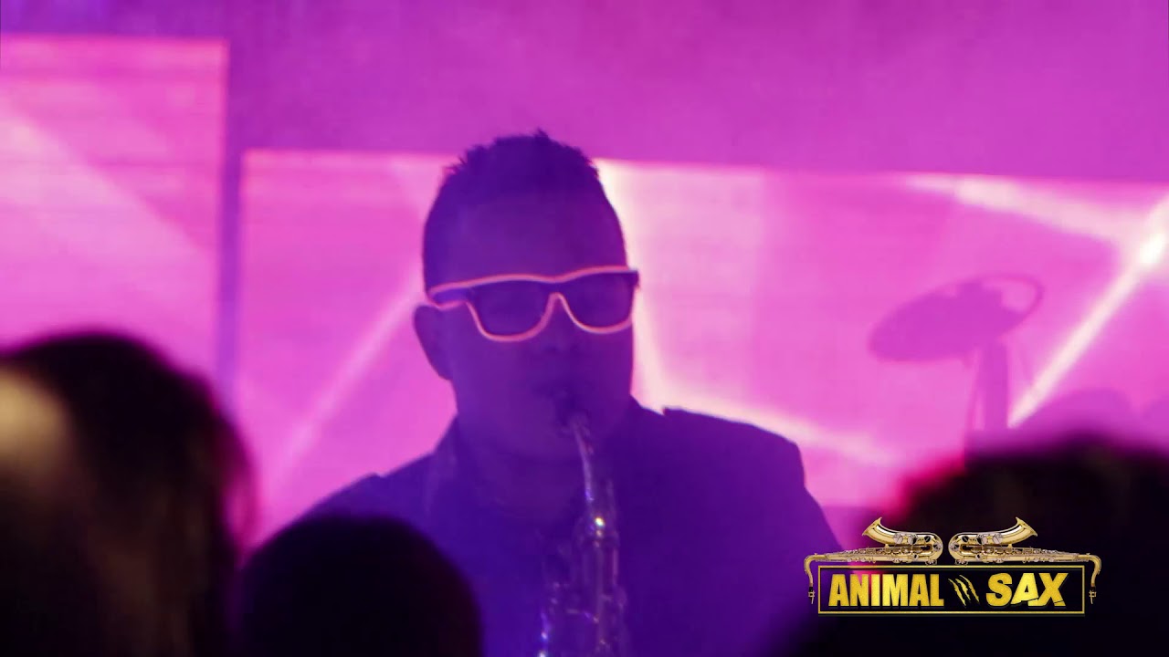 Saxofón ANIMAL SAX #sax #dj #eventos #quinces #animalsax #medellin # ...
