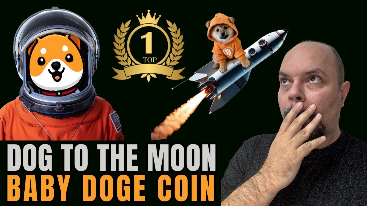 BABY DOGE X DOG GO TO THE MOON - YouTube
