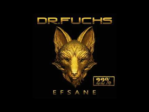 Dr.Fuchs–Sistematik Sözleri Açıklamada