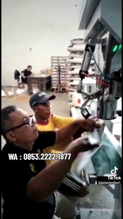 Mesin Packing Beras Otomatis - YouTube