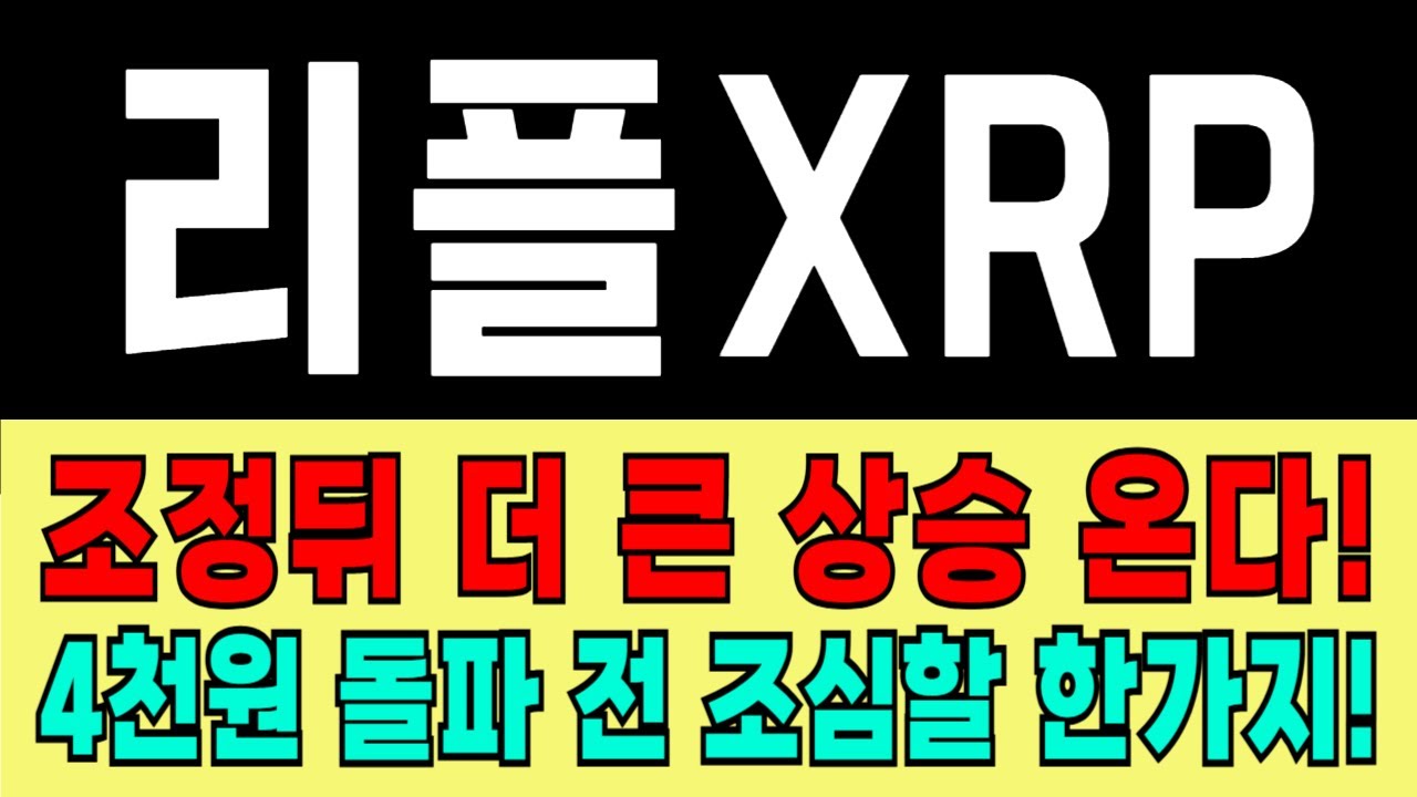 리플 Xrp 조정시작 개미털기 미친상승은 이때 부터 눌림찬스 놓치지 마세요 리플 리플xrp 리플전망 Youtube