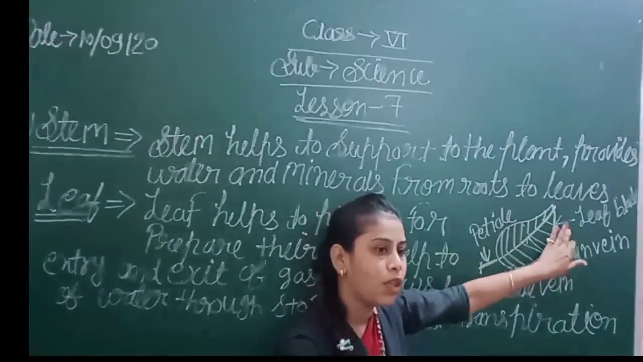 Class 6 Science Lesson 7 Explanation YouTube Class 6 Science Lesson 7 Explanation YouTube