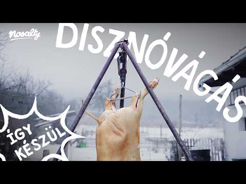 ÍGY KÉSZÜL: Disznóvágás | Nosalty