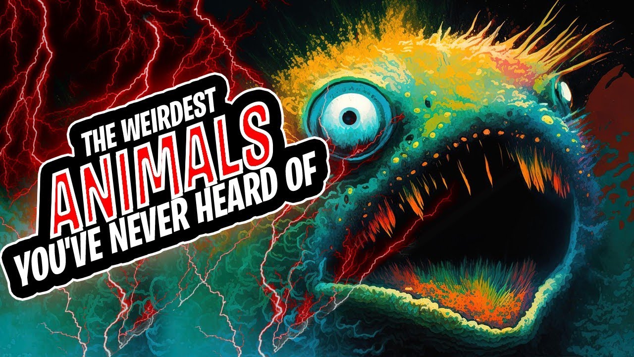 Unbelievable! You Won't Believe These Bizarre Animals Exist... - YouTube