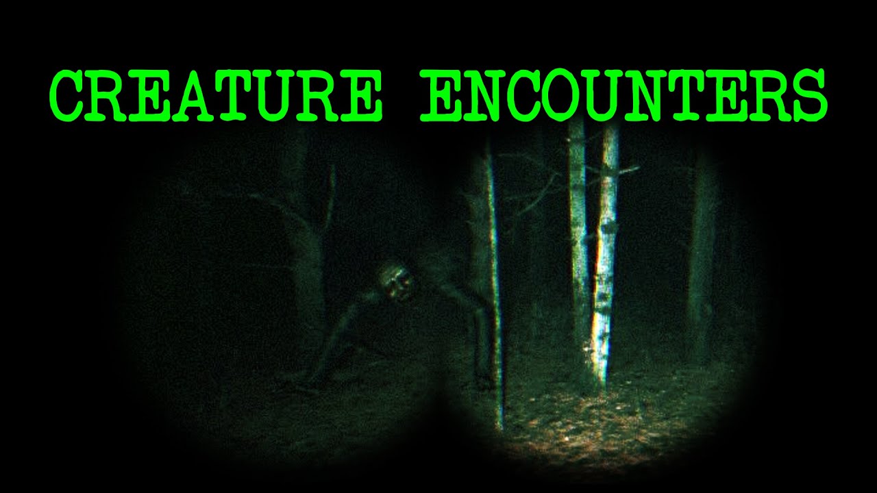 (3) Creepy CREATURE ENCOUNTER Stories From Subscribers #10 - YouTube
