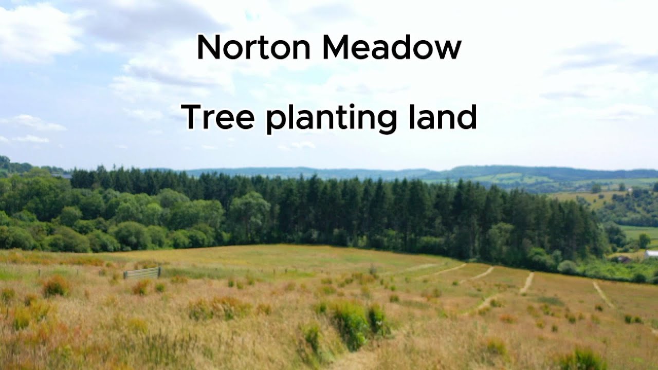 Norton Meadow - Tree Planting Land - YouTube