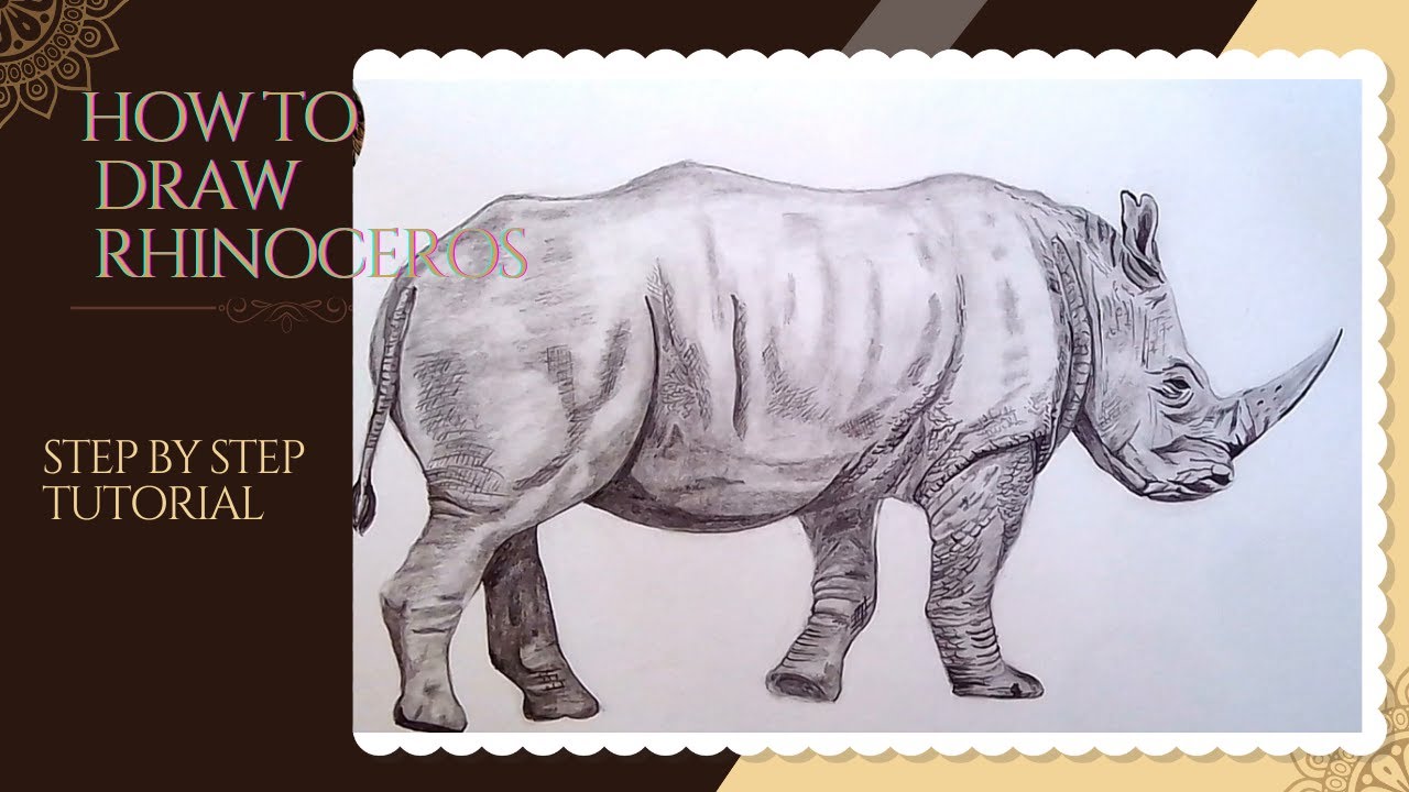 How to Draw a Rhinoceros |Easy step by step drawing for beginners ...