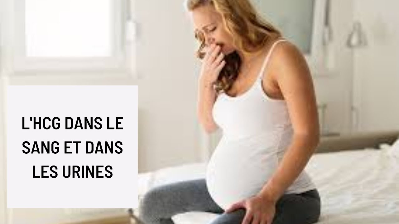 l'HCG dans le sang et dans les urines - YouTube
