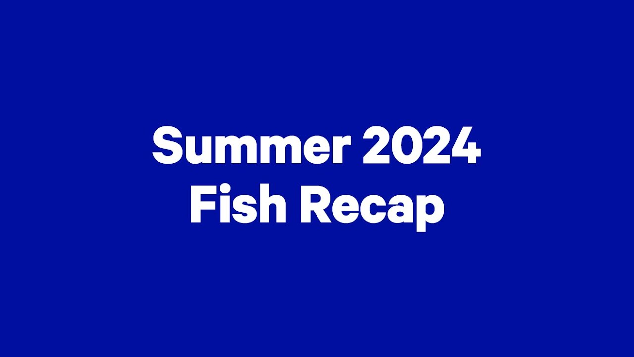 2024 Fish Recap: Port Lands Flood Protection Project - YouTube