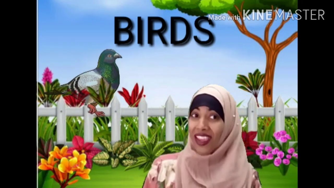 Grade Lkg Science 04/08/2020 - YouTube