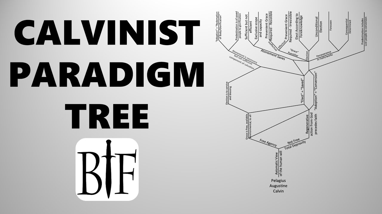 Calvinist Paradigm Tree - YouTube