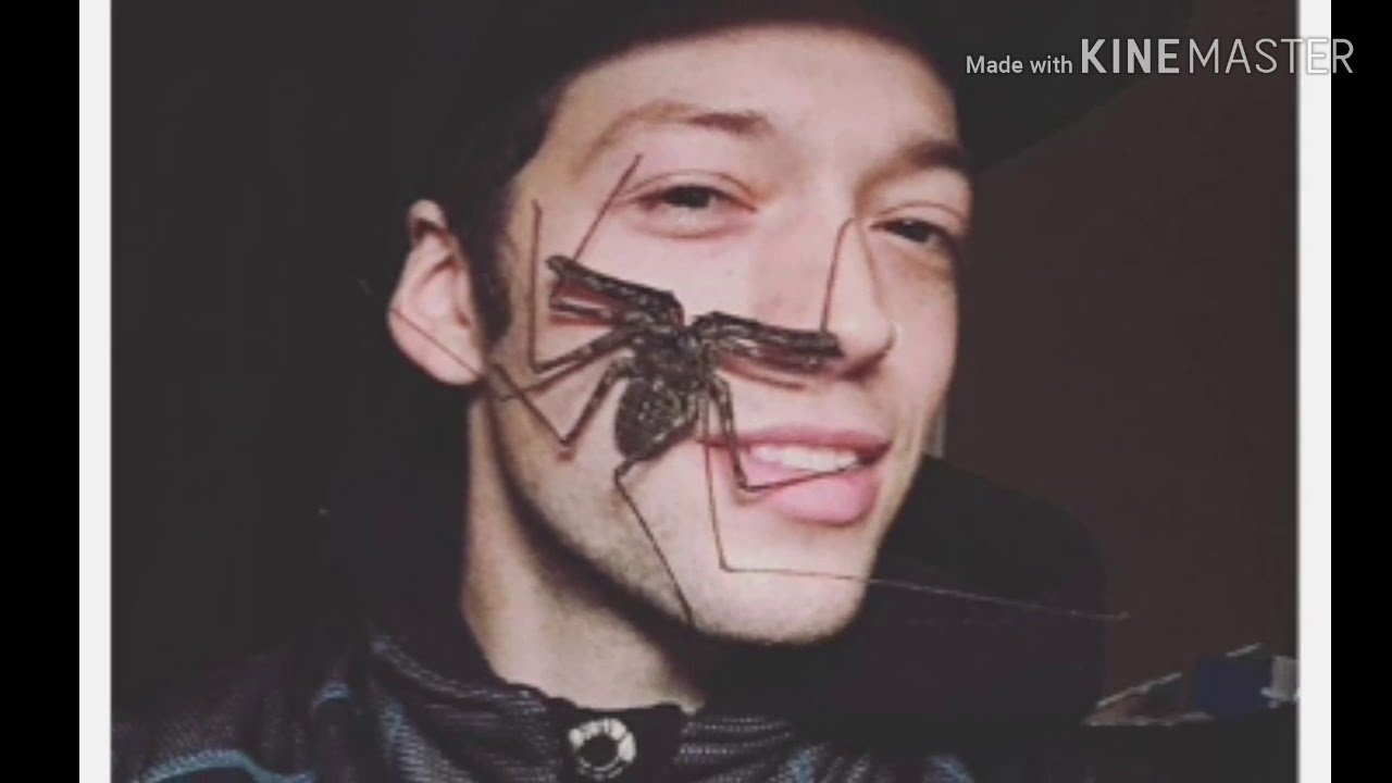 I put a scary bug on cringe and binge face lol - YouTube