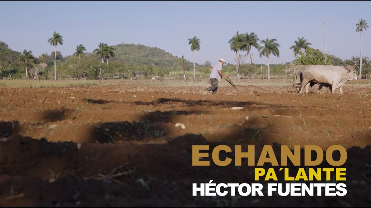 ECHANDO PA´LANTE - YouTube