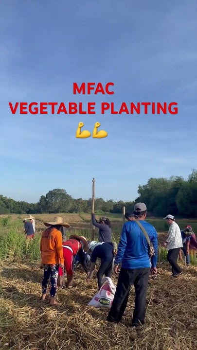 MFAC..#farming #shorts - YouTube