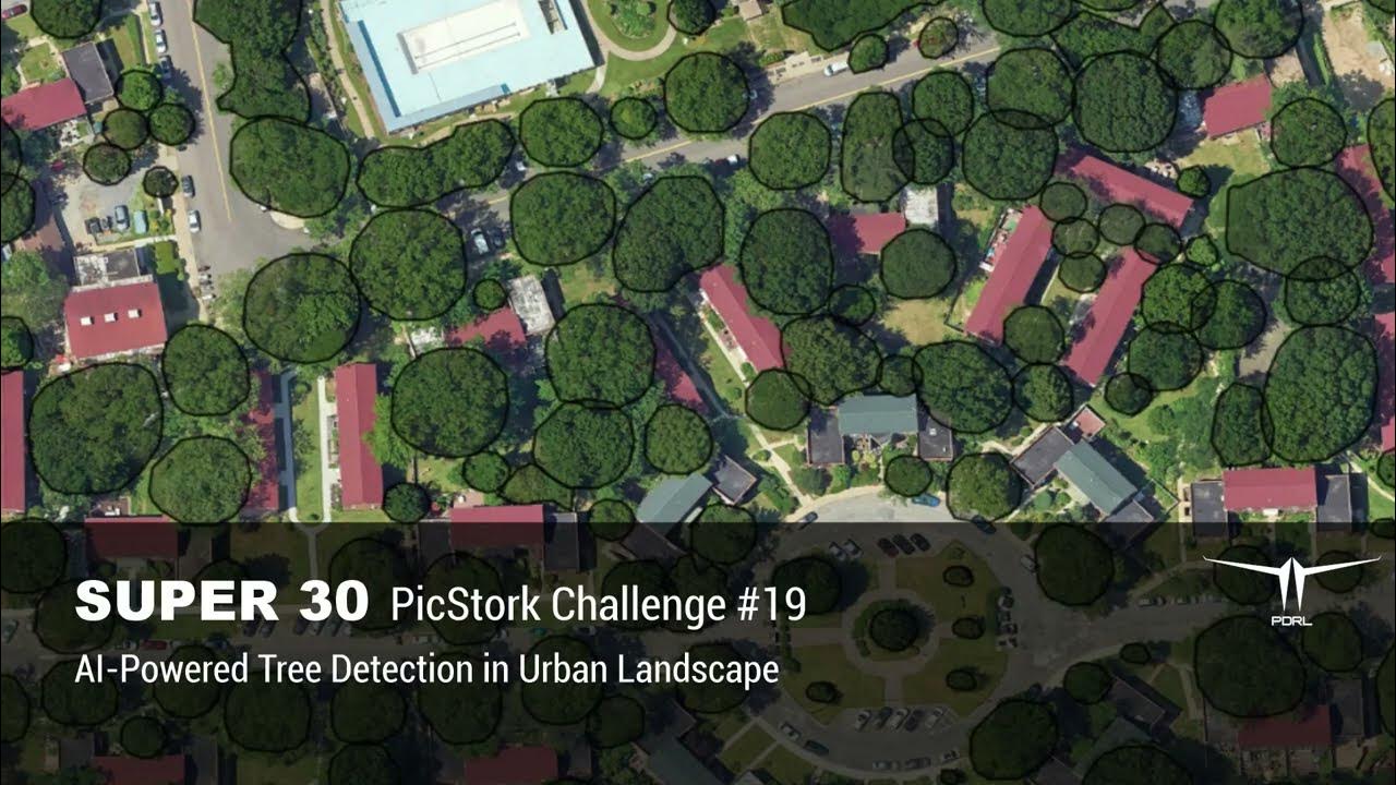 Tree Detection in Urban Landscape with AI-Powered PicStork - YouTube