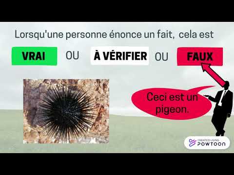 Qu'est-ce qu'un fait ? - YouTube