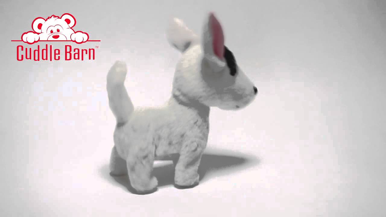 Cuddle Barn - Bandit the Bull Terrier - YouTube