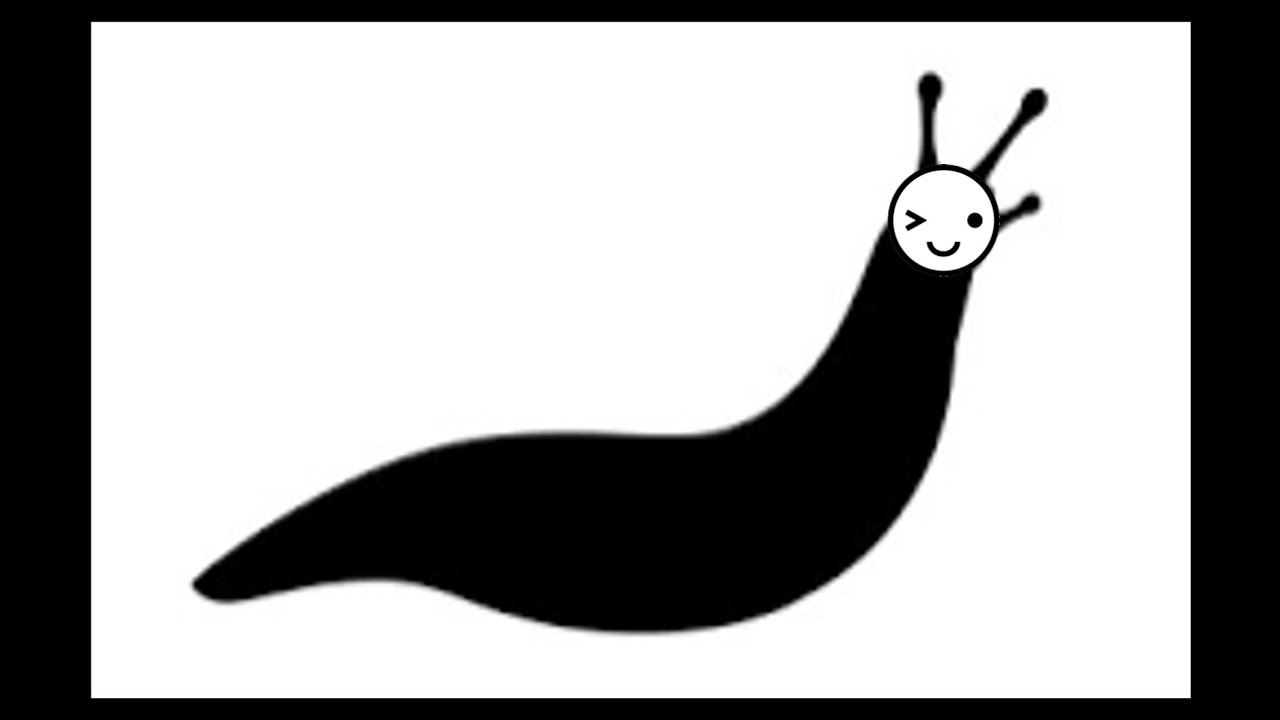 Limax maximus reproduction - YouTube