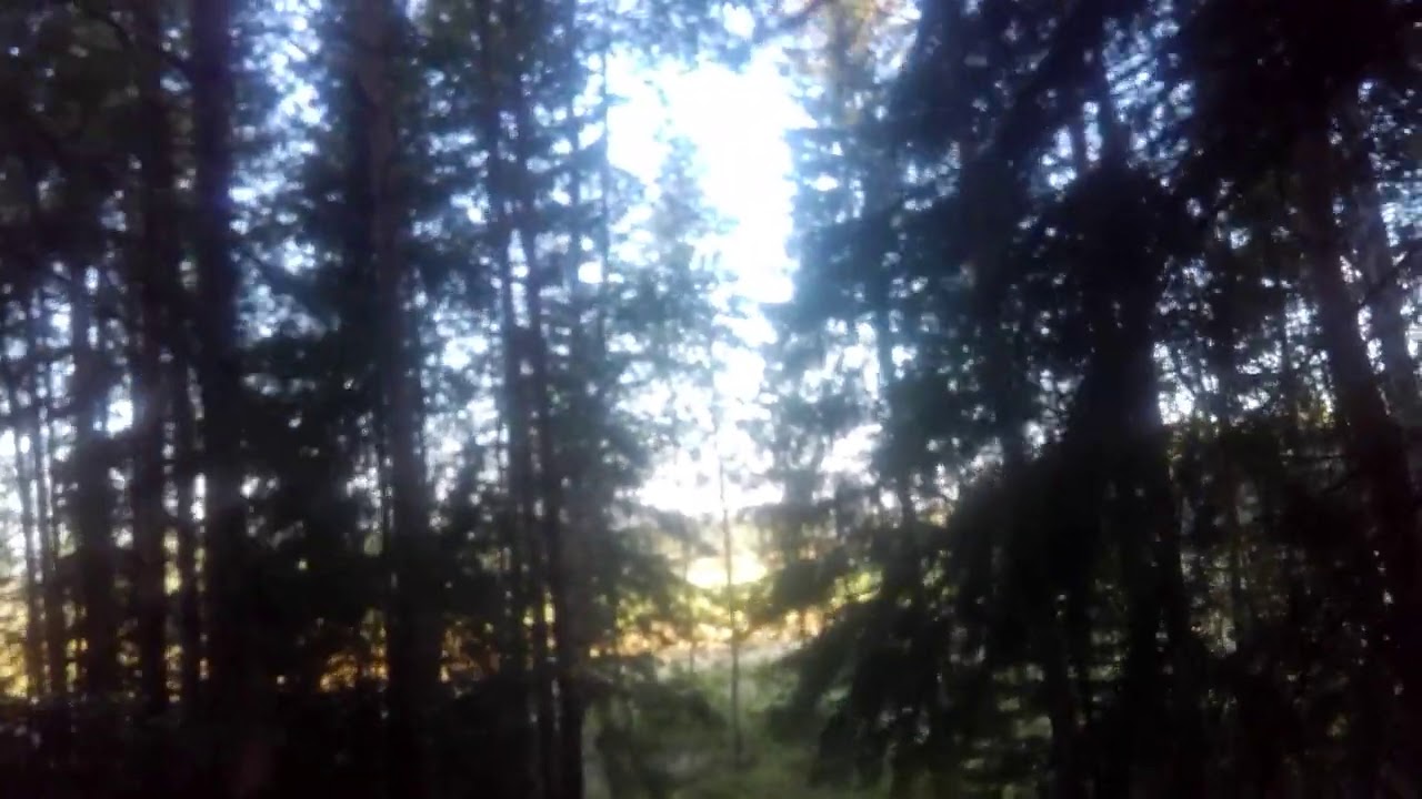 Omenoita Onko Noita Joopis Onpis - YouTube