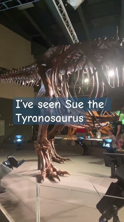 I’ve seen Sue the trex - YouTube