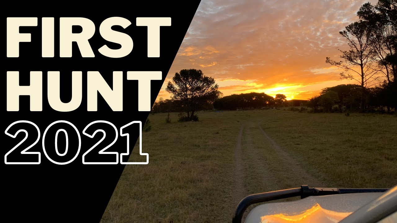 First Hunt of the 2021 Season - YouTube