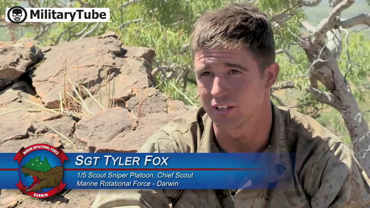 Real Snipers in Action US Marines Snipers With M40A5 M110 and M107 50 ...