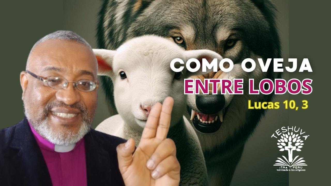 cap.120"OVEJAS entre lobos"" - YouTube