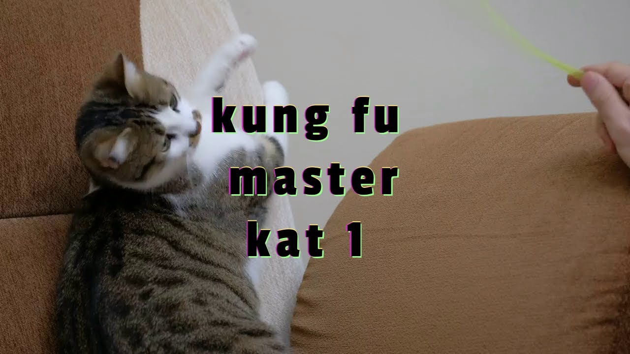 KUNG FU MASTER KAT 1 - YouTube