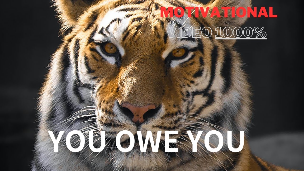 YOU OWE YOU - Motivational Video - YouTube