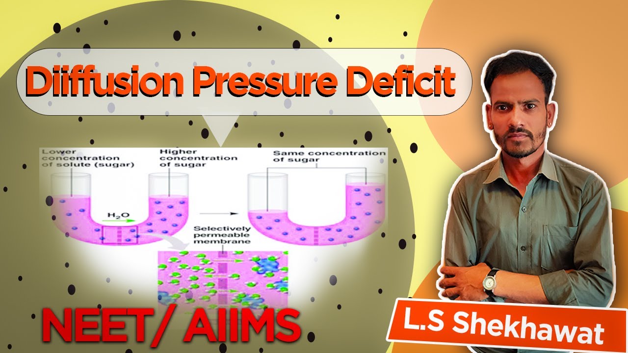 DIFFUSION PRESSURE DEFICIT (DPD) || HOW DO CALCULATE DIFFUSION PRESSURE ...