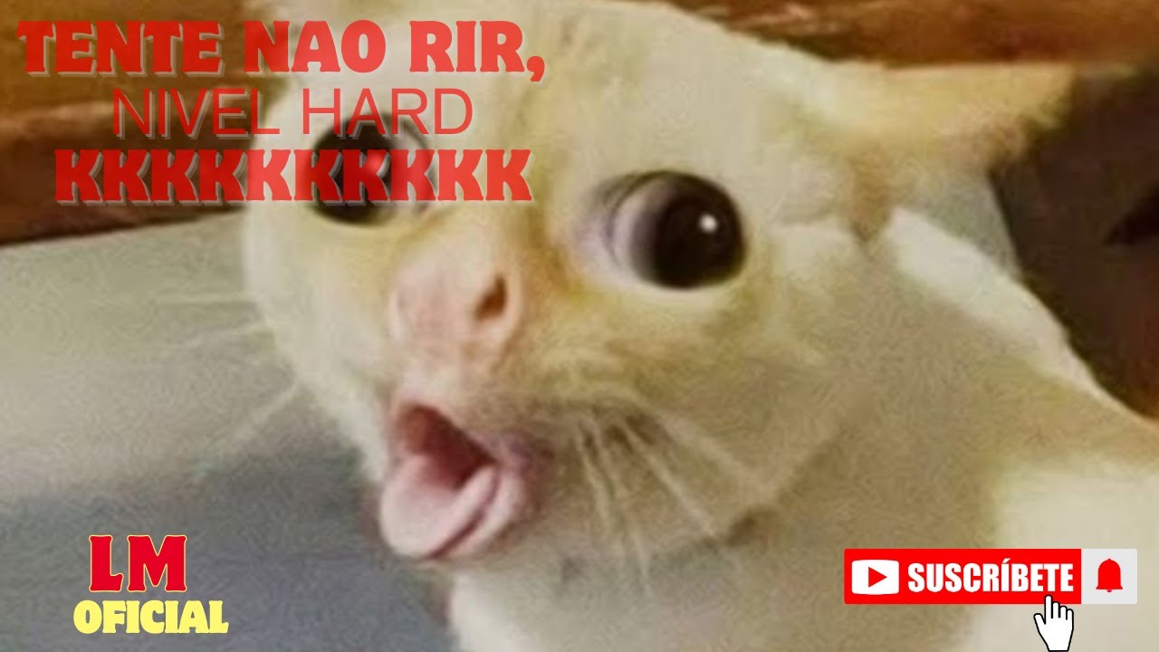 LM OFICIAL, tente nao rir com melhores memes kkkkkkkkk - YouTube