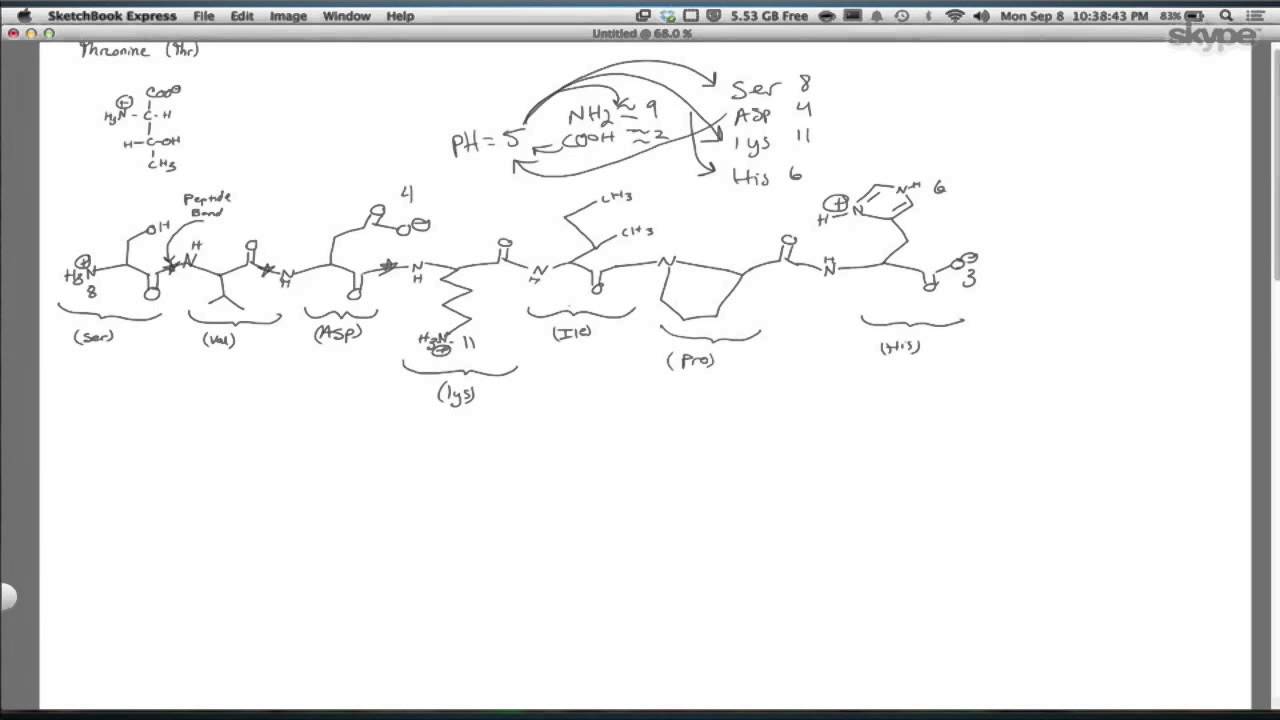 Biochemistry: Protein structure (1) - YouTube