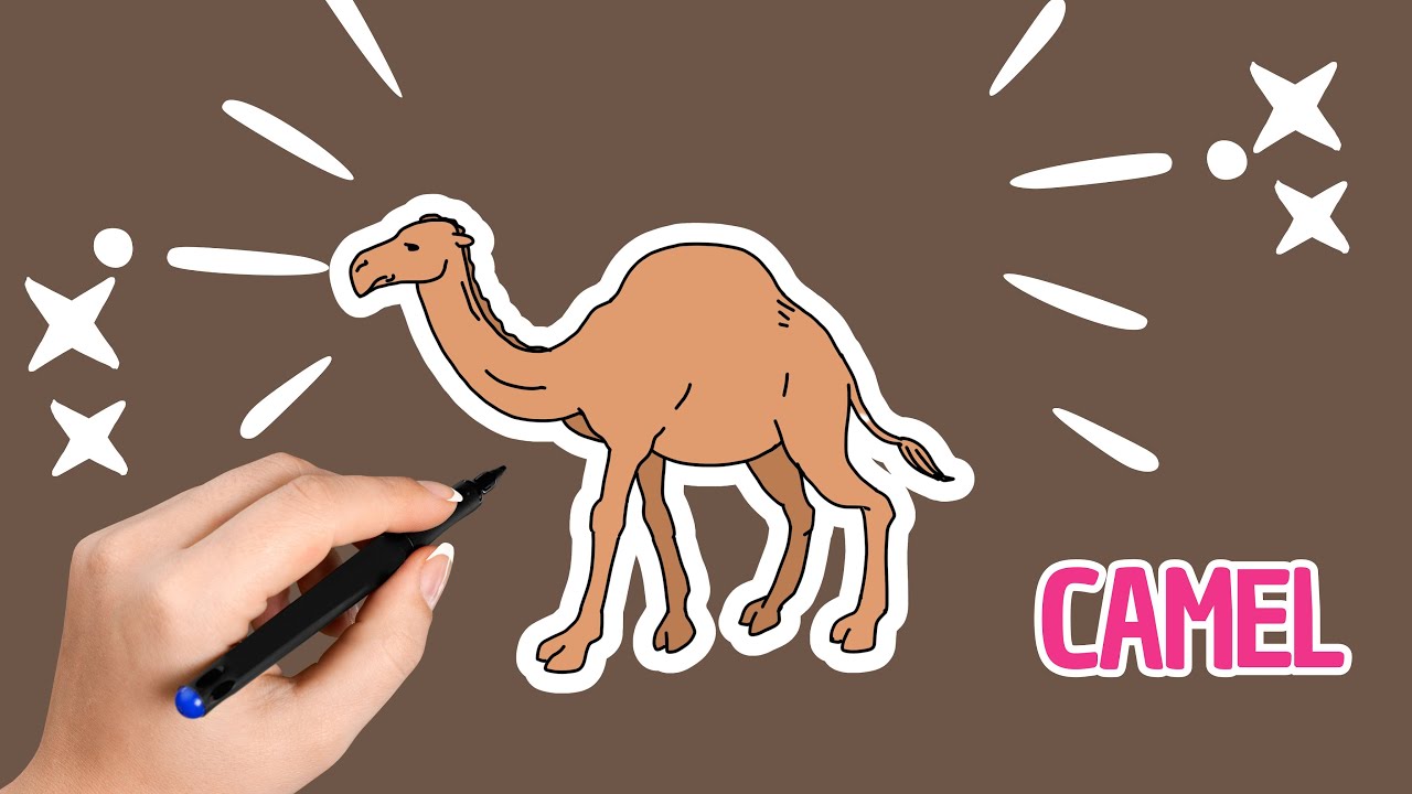 Draw a camel 🐪🐫🦙🐂🌵 Fun & Easy! | How to Draw a camel - YouTube