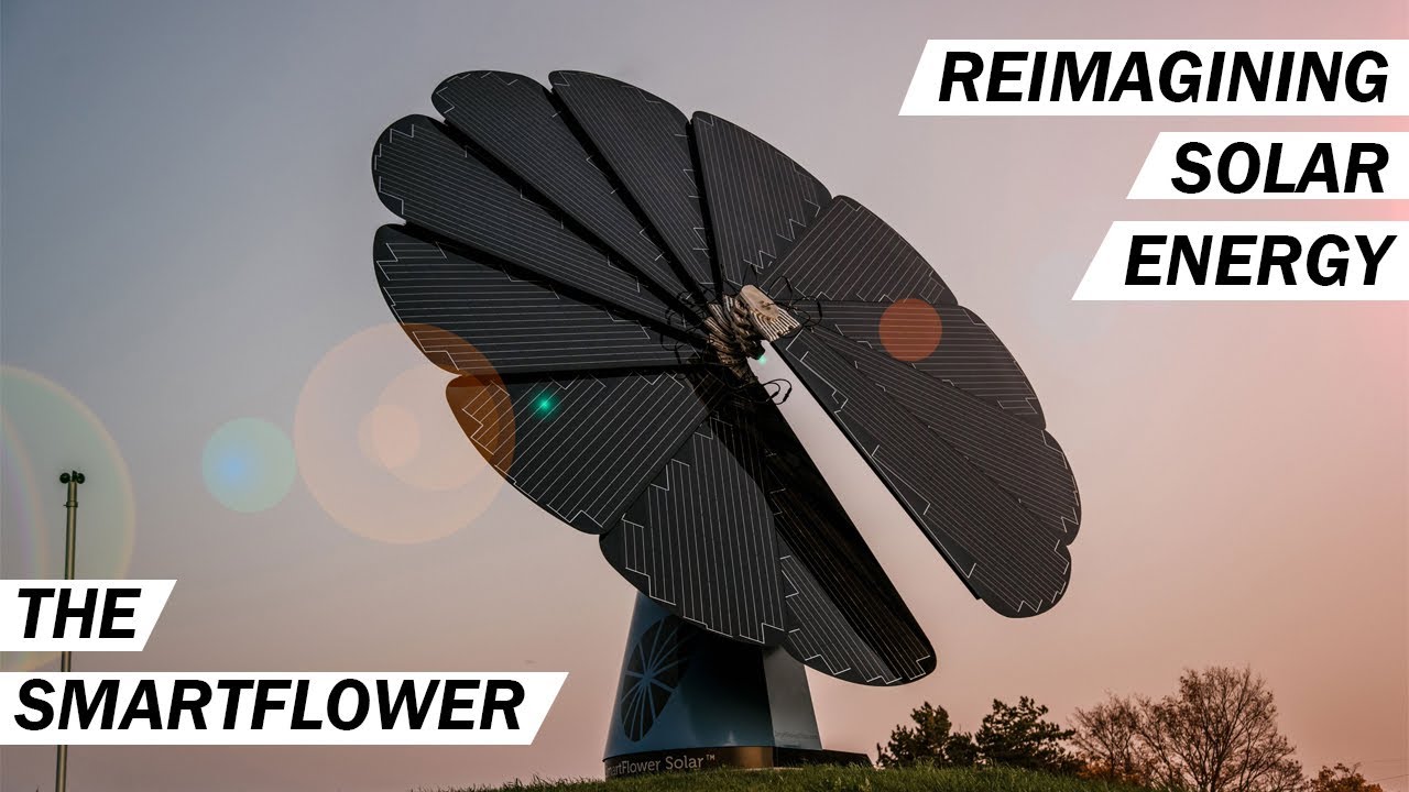 Smartflower Solar Energy Cost | Best Flower Site