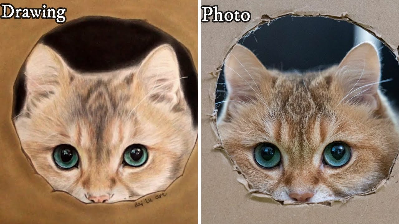 Drawing “Hosico” the cat with colorepencil（speed drawing） - YouTube