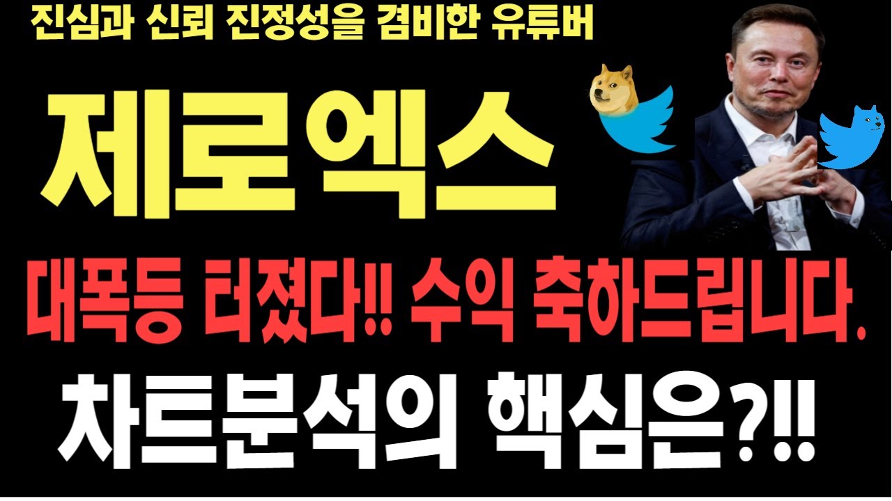 제로엑스 제로엑스코인 차트분석 제로엑스전망 코인전망 비트코인 이더리움 도지코인 Youtube