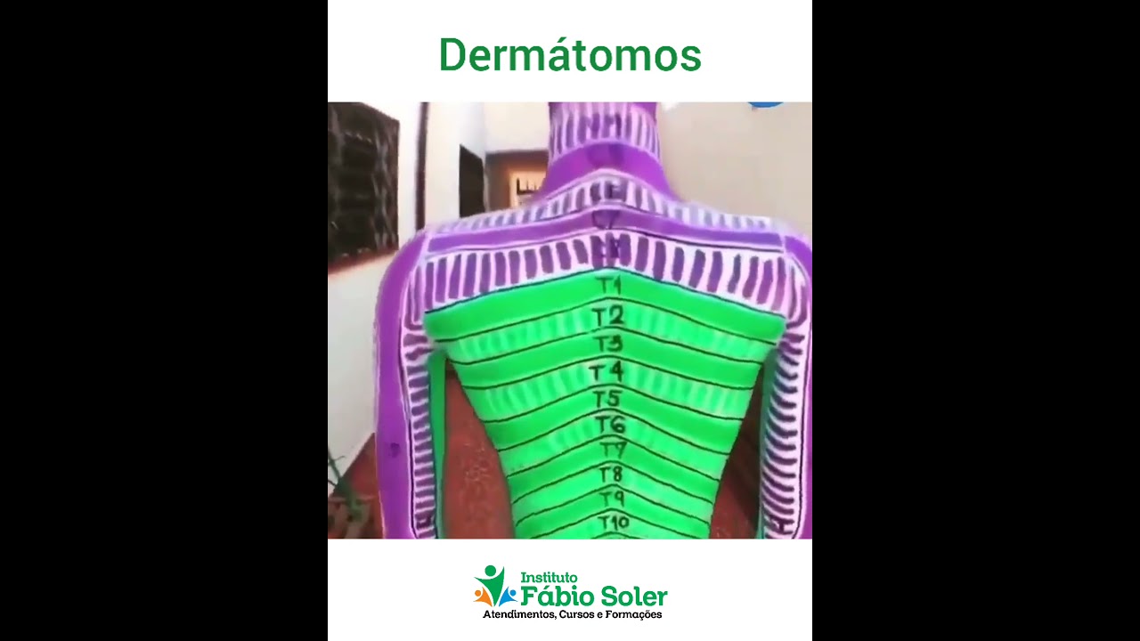 Dermátomos (Fisioterapia, Osteopatia e Quiropraxia). - YouTube