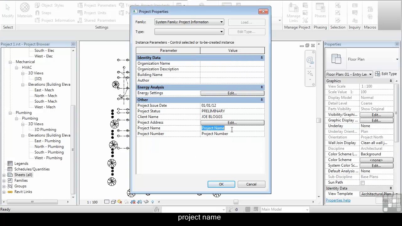 (REVIT) Project Information (7/13) - YouTube
