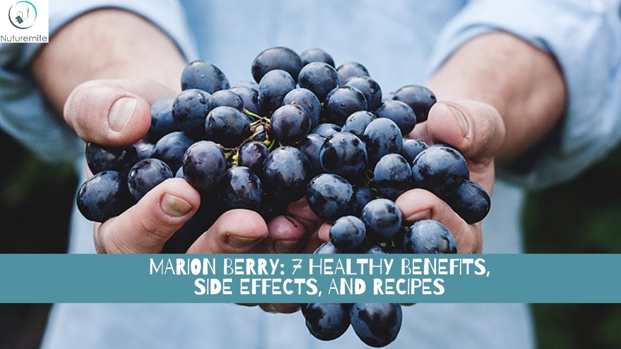 Marion berry: 7 healthy benefits, Side Effects, And Recipes ...