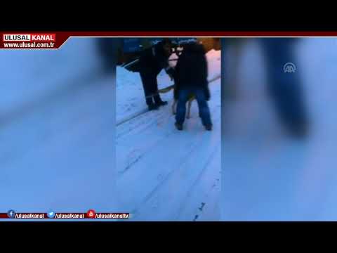 Köpeğin yardımına işçiler koştu