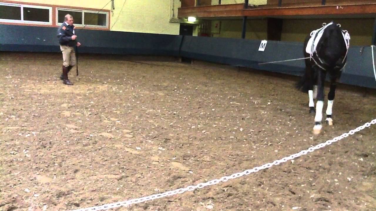 Johan Hamminga 2013 werk aan de hand 2 - YouTube