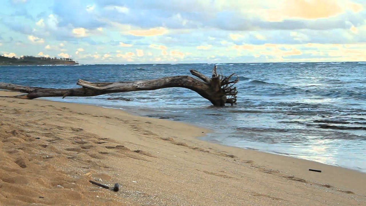 10minutes2relax - Fallen Beach Creative Commons Attribution License ...