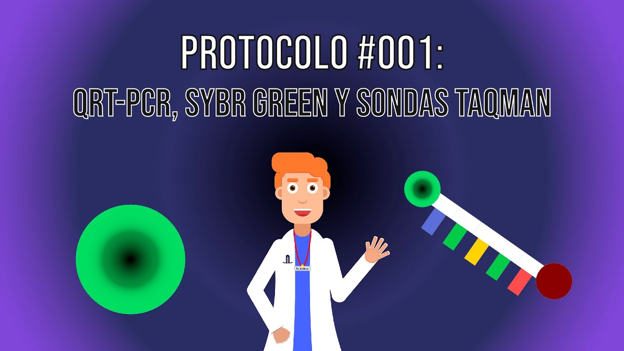 Protocolo #001: qRT-PCR, SYBR Green y Sondas Taqman - YouTube
