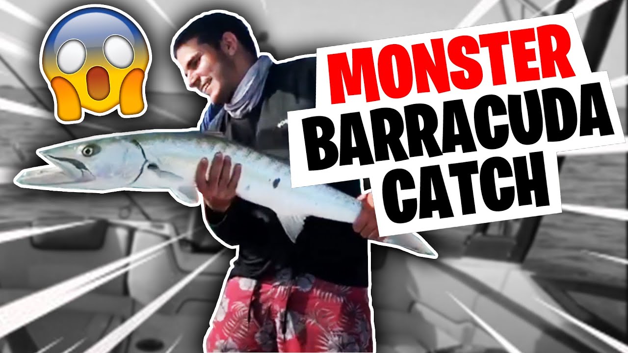 Monster Barracuda Catch- Key Largo FL Yamaha Ar190 Fishing - YouTube