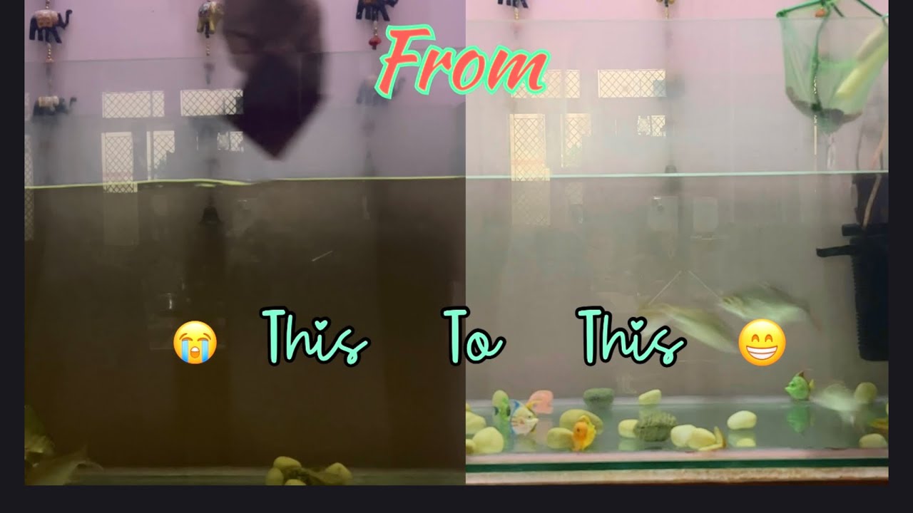 Clearing fish task after a month 😳 first video ️. #fishtankideas # ...